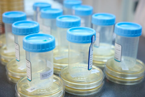 New Testing Services | PDA Laboratories, Inc.